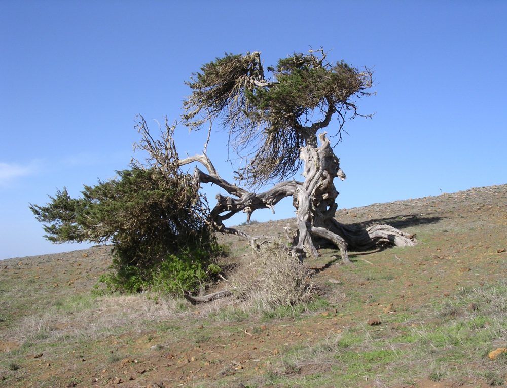 Siete cosas que debes saber de Madivers - Madivers